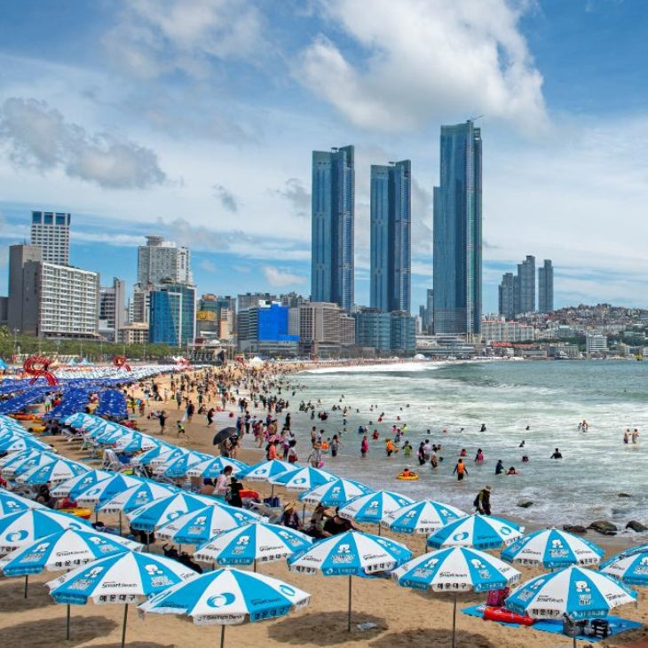 ⭐ (Busan-Haeundae-Paradise busan) المطاعم حول – YallaKOREA